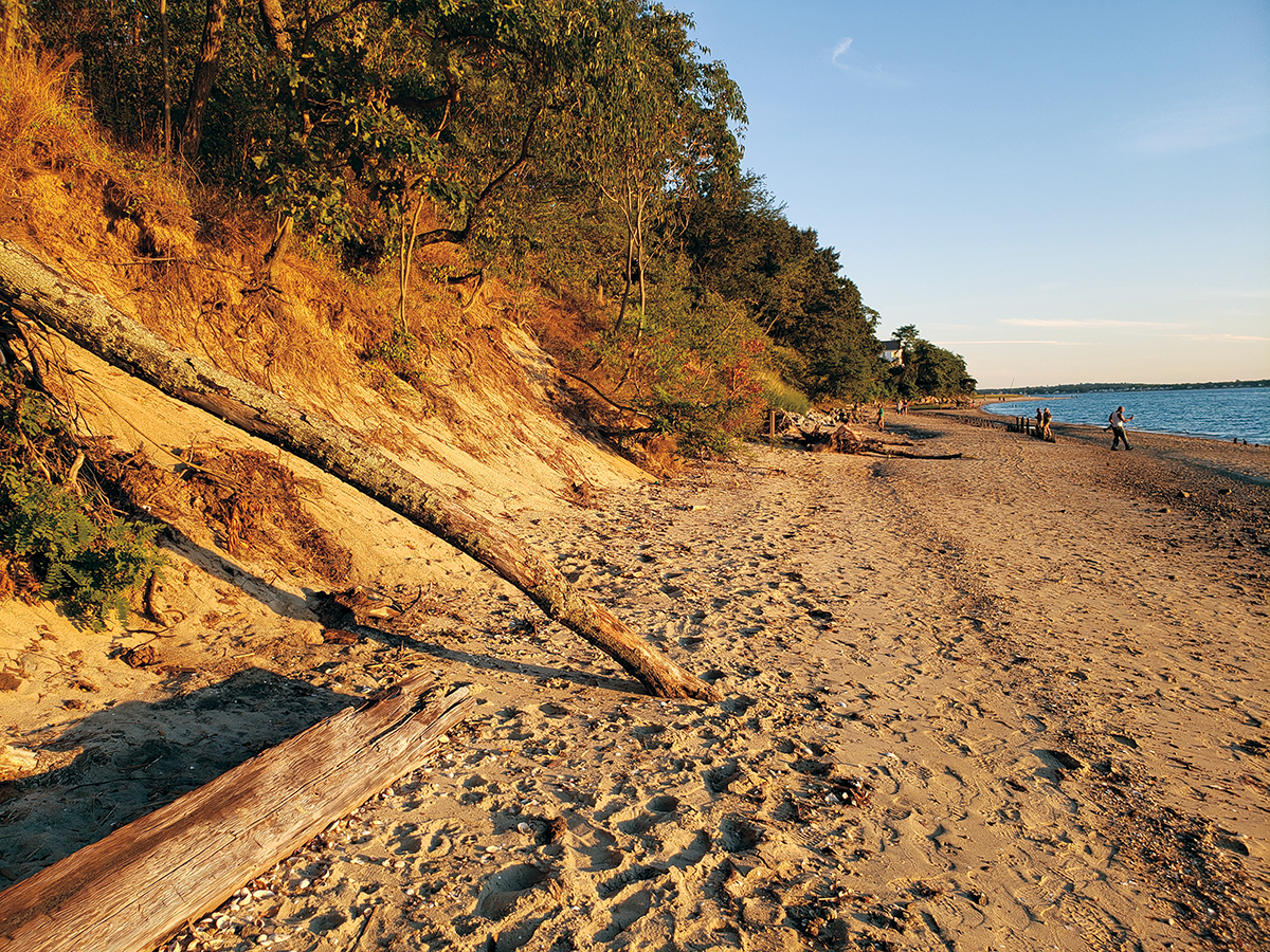 The Experimental Coast - 41ºN Magazine