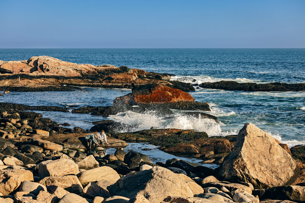 A Cleaner and Warmer Narragansett Bay - 41ºN Magazine